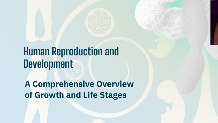 Human Reproduction and Development by weronika miszkowicz on Prezi