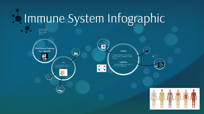 Immune System Infographic by Corrine Orben on Prezi