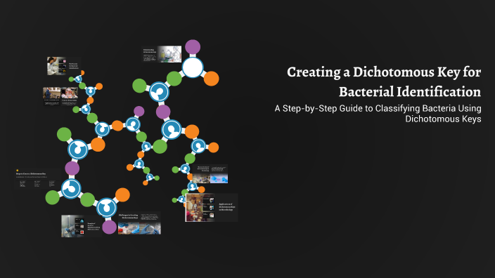 Creating a Dichotomous Key for Bacterial Identification by Nolan S on Prezi