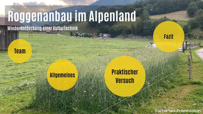 Roggenanbau im Alpenland 2. by Adam Brugger on Prezi