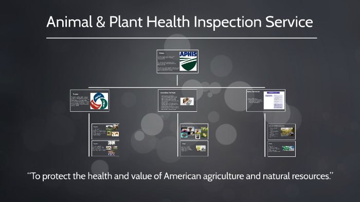 Animal & Plant Health Inspection Service by Scout Odegaard on Prezi
