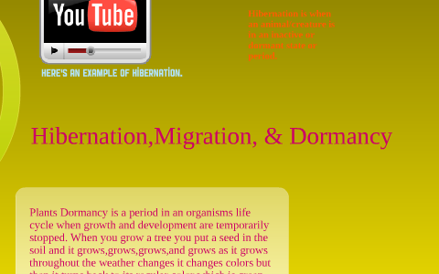 Hibernation,Migration, & Dormancy by kassandra lopez on Prezi