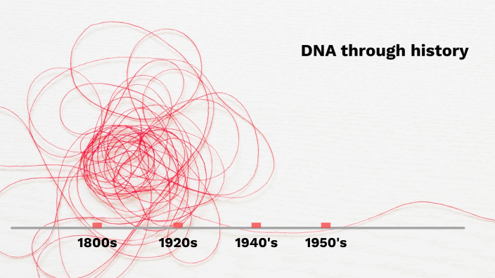DNA timeline by Sophia Langenbau on Prezi