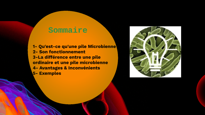 Pile Microbienne by Nour Aissa on Prezi