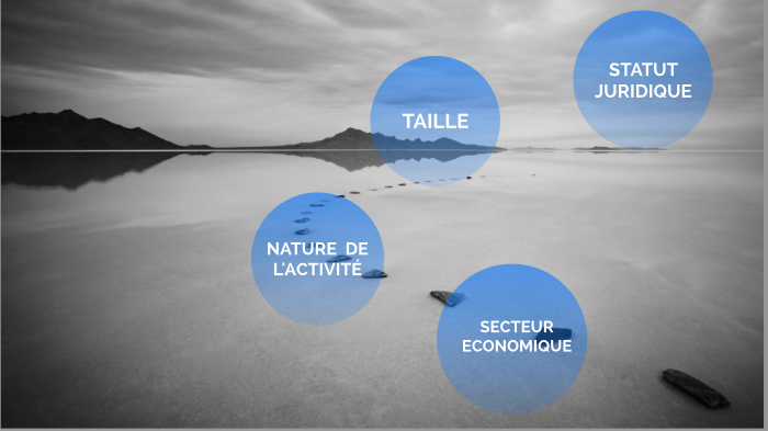 LA CLASSIFICATION DES ENTREPRISES by olivia Breard on Prezi