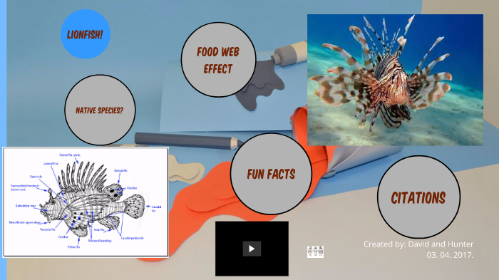 Lionfish by David Tarbox on Prezi