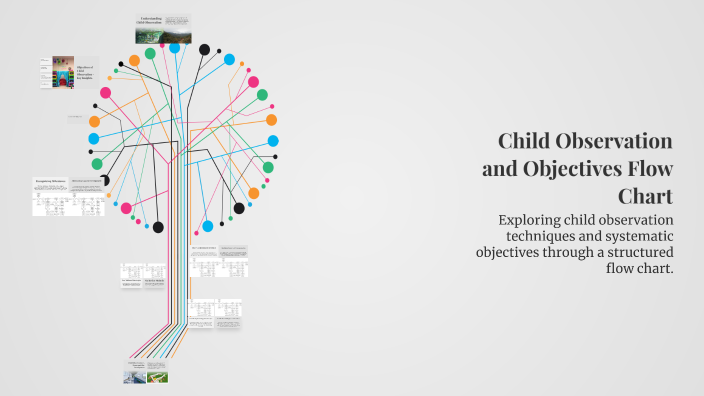 Child Observation and Objectives Flow Chart by jaime jackson on Prezi