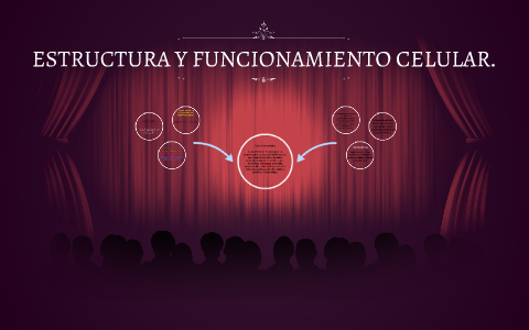 ESTRUCTURA Y FUNCIONAMIENTO CELULAR. by on Prezi