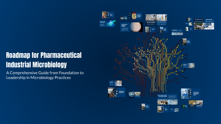 Roadmap for Pharmaceutical Industrial Microbiology by Maria Conceição ...