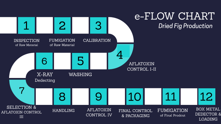 EU Flow Chart by Halis Günday on Prezi