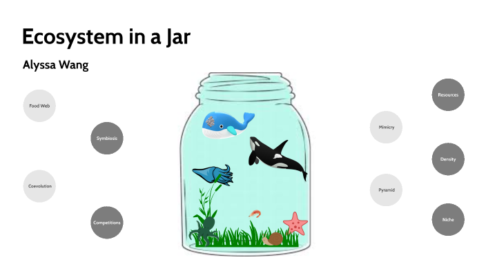 Ecosystem in a Jar by Alyssa Wang on Prezi