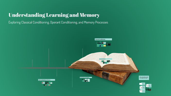 Understanding Learning and Memory by Smita Gokhale on Prezi