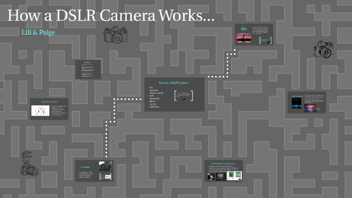How a DSLR Camera Works... by lili tompkins