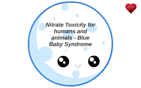 Nitrate Toxicity for humans and animals - Blue Baby Syndrome by Jack ...