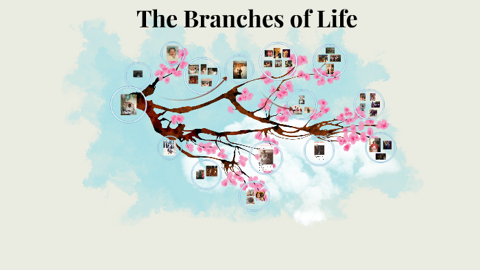The Branches of Life by Jasmine Griffith on Prezi