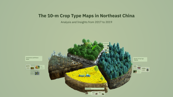 The 10-m Crop Type Maps in Northeast China by Vadlamuru Dhana sri hima ...
