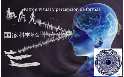 patrón visual y percepción de formas by katherine sanchez garzon on Prezi