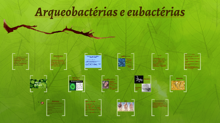 Arqueobactérias e eubactérias by Lucas Vieira on Prezi
