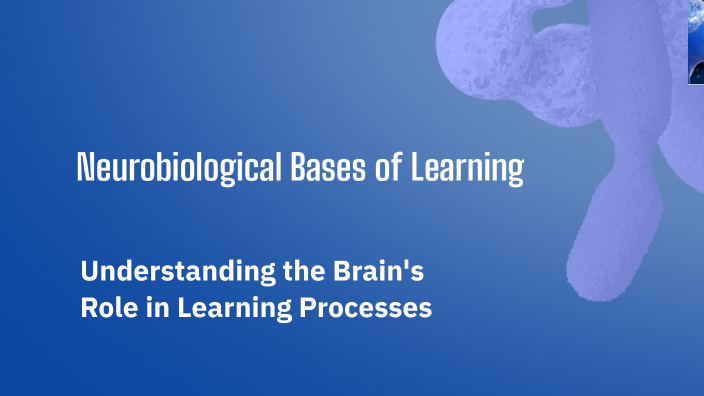 Neurobiological Bases of Learning by Alvaro Ditta on Prezi