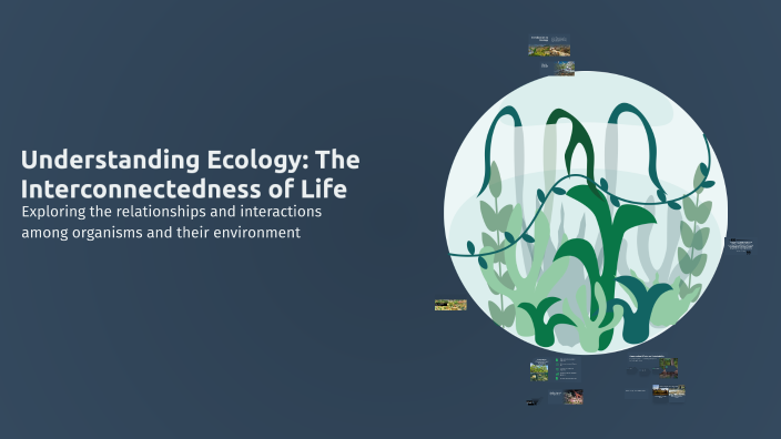 Understanding Ecology: The Interconnectedness of Life by jouneer gerges ...
