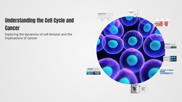 Understanding the Cell Cycle and Cancer by Jasmine Cruz on Prezi