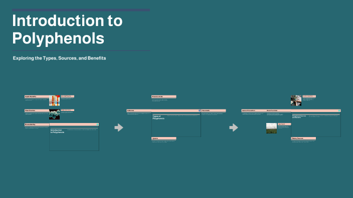 Introduction to Polyphenols by Yiping Cui on Prezi