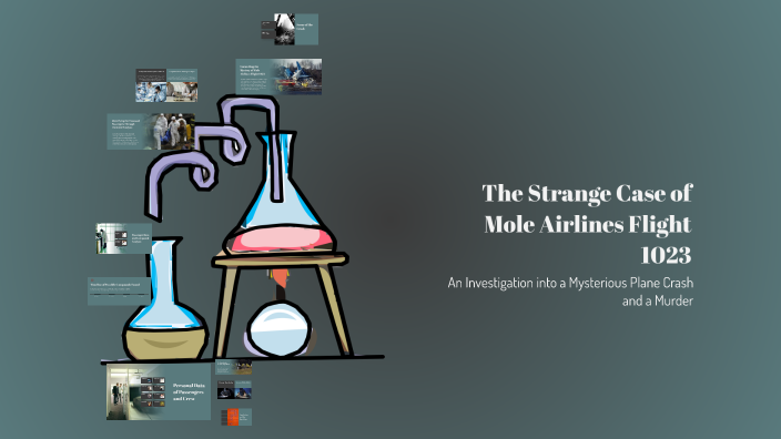 The Strange Case of Mole Airlines Flight 1023 by William Ongkowidjaja ...