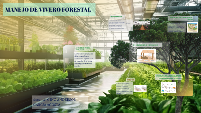 MANEJO DE VIVERO FORESTAL by manuel raul negron davila on Prezi