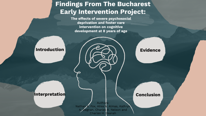 The effects of severe psychosocial deprivation and foster care ...