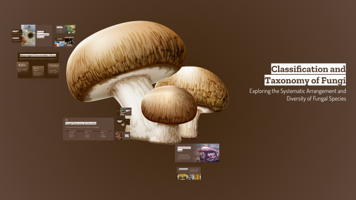 Classification and Taxonomy of Fungi by Sukanya Haituk on Prezi