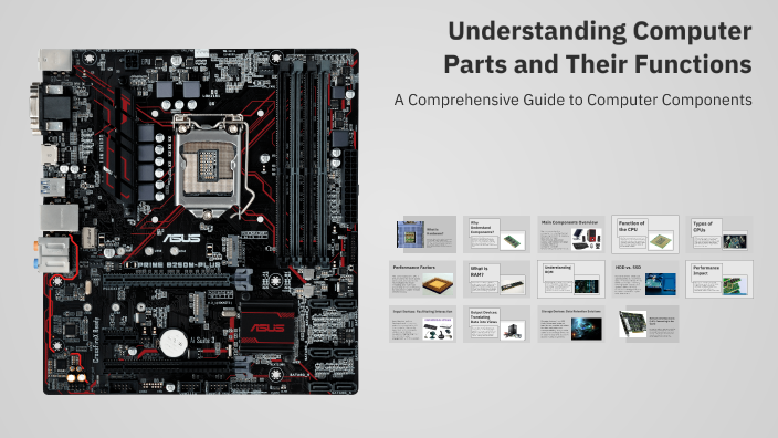 computer parts and functions by Fili Ioane on Prezi