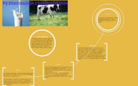 Distribution Channel Of Milk by Muhammed Khan on Prezi