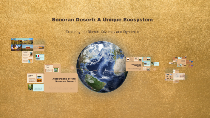 Sonoran Desert: A Unique Ecosystem by GONZALO REYNA GUERRERO on Prezi