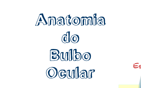 Anatomia bulbo ocular by Ana Eyherabide on Prezi