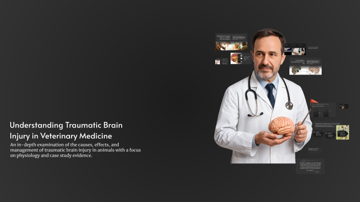 Understanding Traumatic Brain Injury in Veterinary Medicine by Akash ...