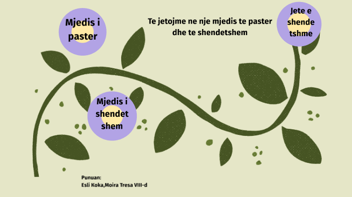Mjedis i paster dhe i shendetshem by Esli on Prezi