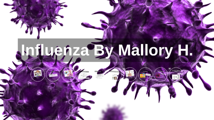 Influenza By Mallory H. by Mallory Hogan on Prezi