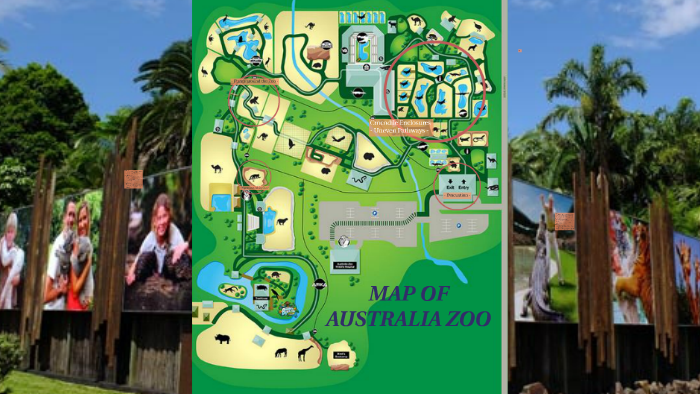 MAP OF AUSTRALIA ZOO by Kara Fryer on Prezi