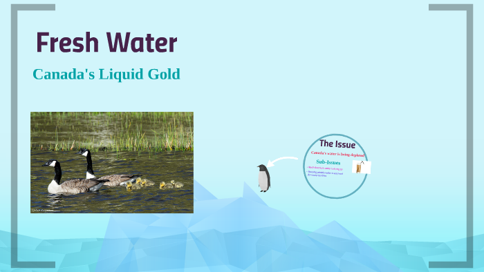 Selling Freshwater by Mcsnugglet on Prezi