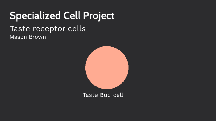 Specialized Cell Project by MASON BROWN - STUDENT on Prezi