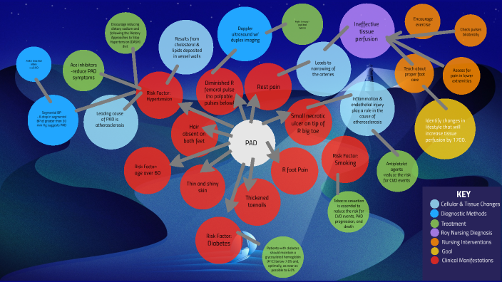 PAD Concept Map by shelby montez on Prezi