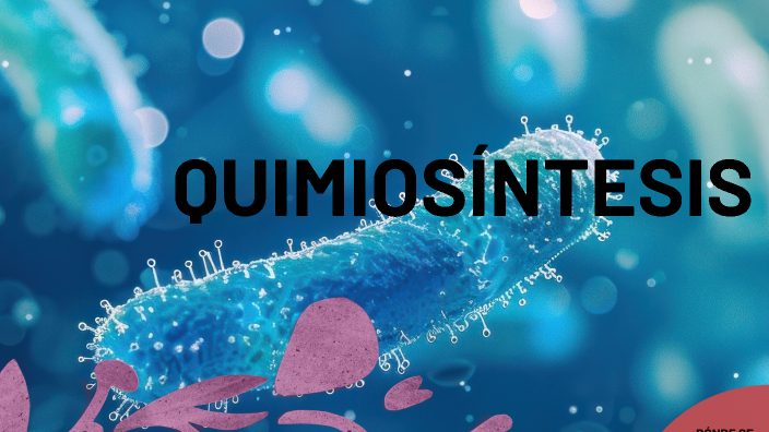 QUIMIOSÍNTESIS by MARIANA QUETZALLI GRIMALDO MEDELLIN on Prezi