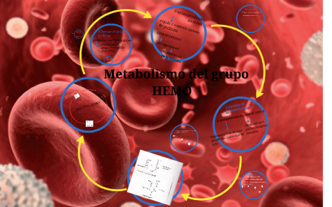 Metabolismo del grupo hemo by Nicole Brasquet on Prezi