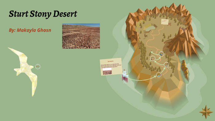 Sturt Stony Desert by Makayla Ghosn on Prezi