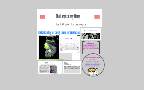 The Larossa bay bat colony should not be relocated by Ally Hurel on Prezi