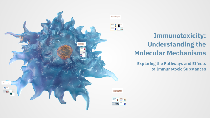 Immunotoxicity: Understanding the Molecular Mechanisms by hadfi chaima ...