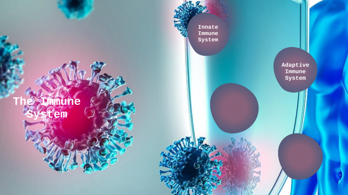 Immune System Project by Deja Smith