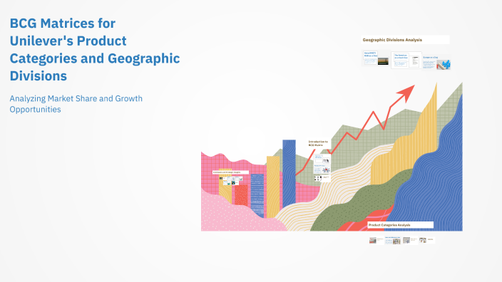 BCG Matrices for Unilever's Product Categories and Geographic Divisions ...