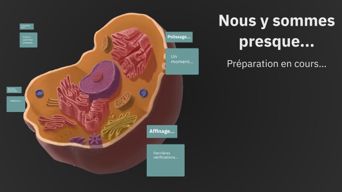 Créer un diaporama sur le don d'organes by COCO AGS on Prezi
