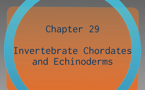 Invertebrate Chordates and Echinoderms (Chapter 29) by Elena Marquez on ...